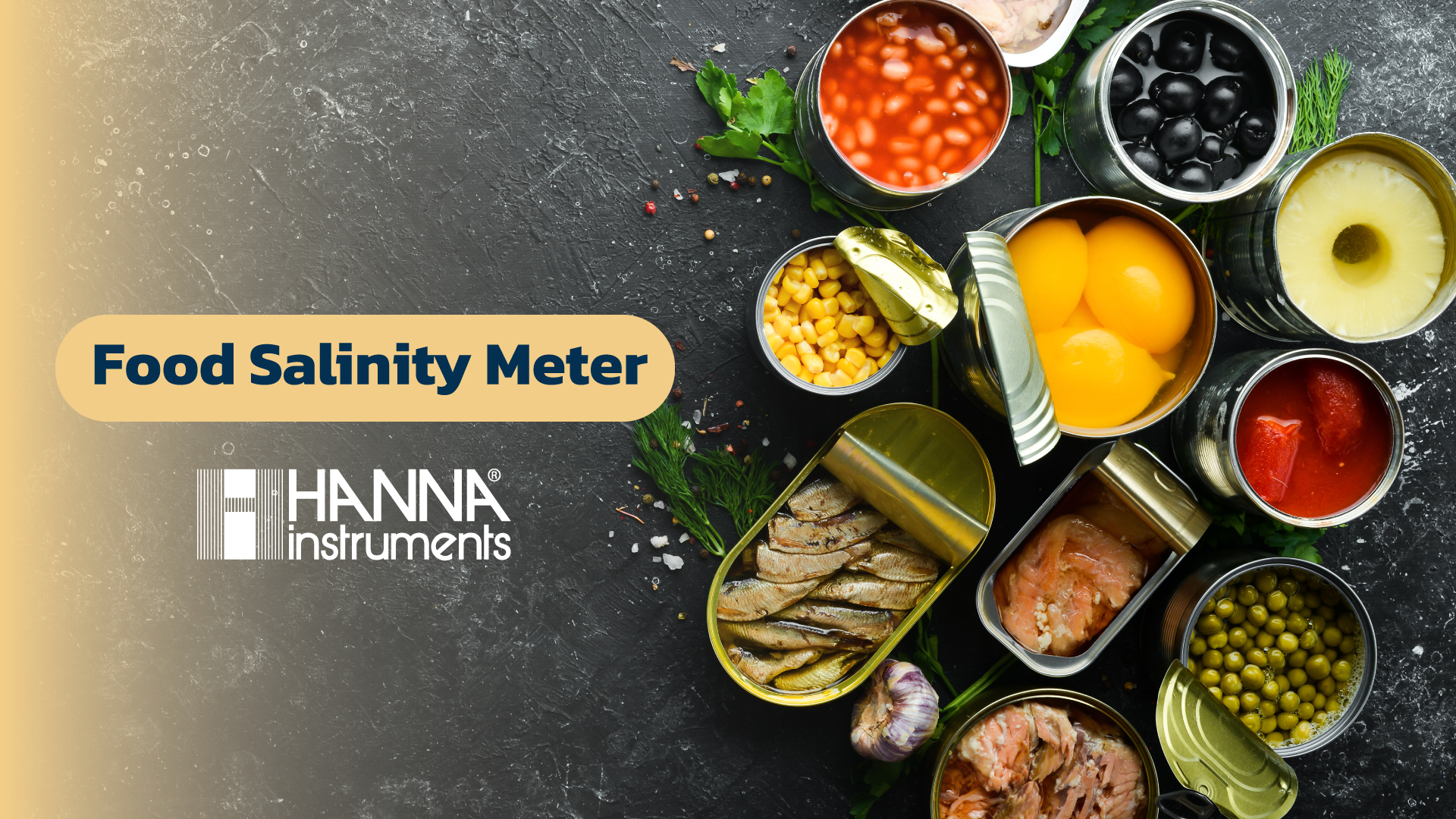 Food Salinity Meter I from Hanna Instruments - Hanna Instruments (Thailand)